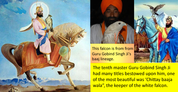 Guru Gobind Singh was also known as the keeper of the white falcon ...